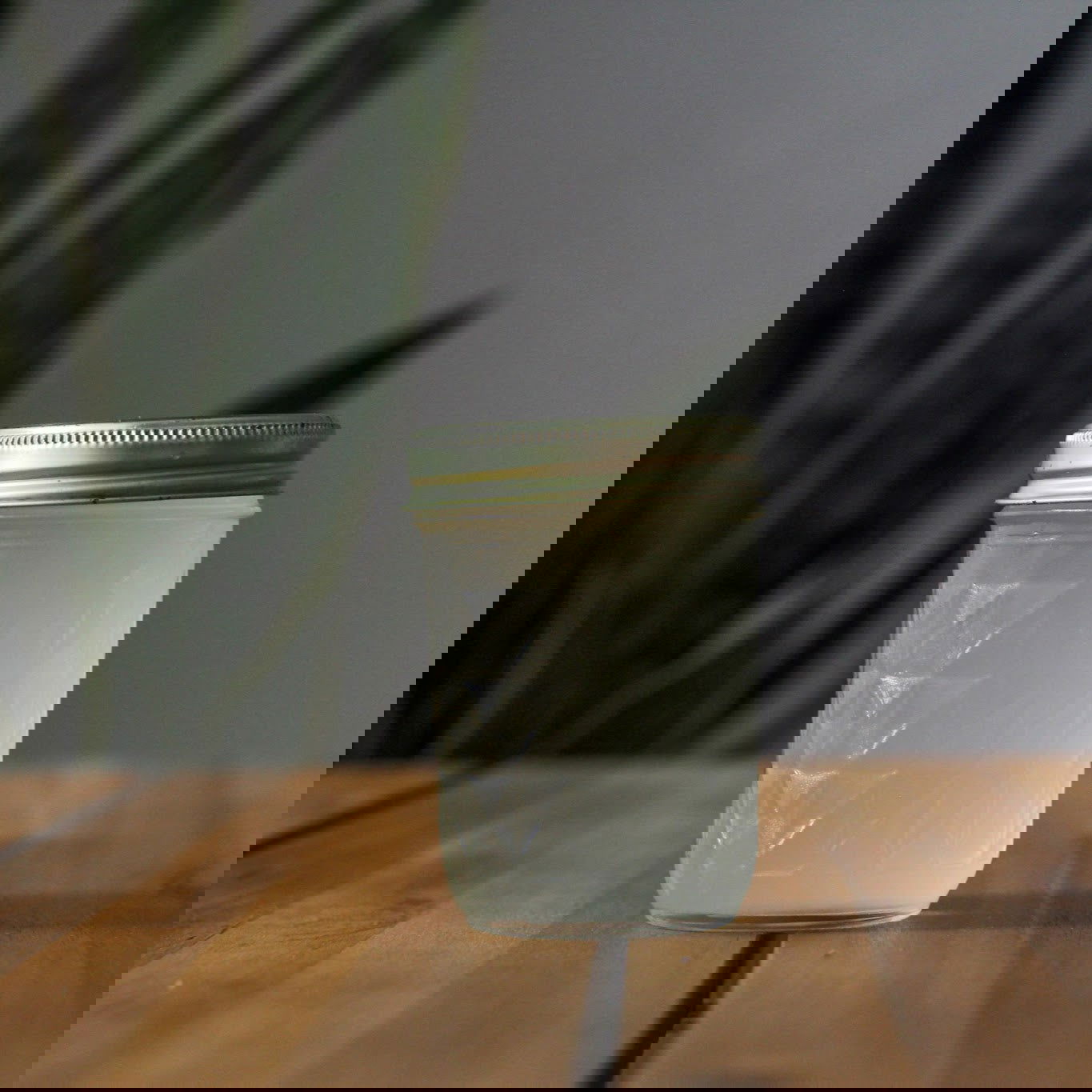 Brines – Doc Pickle