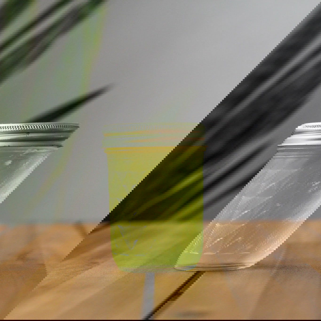 Brines – Doc Pickle